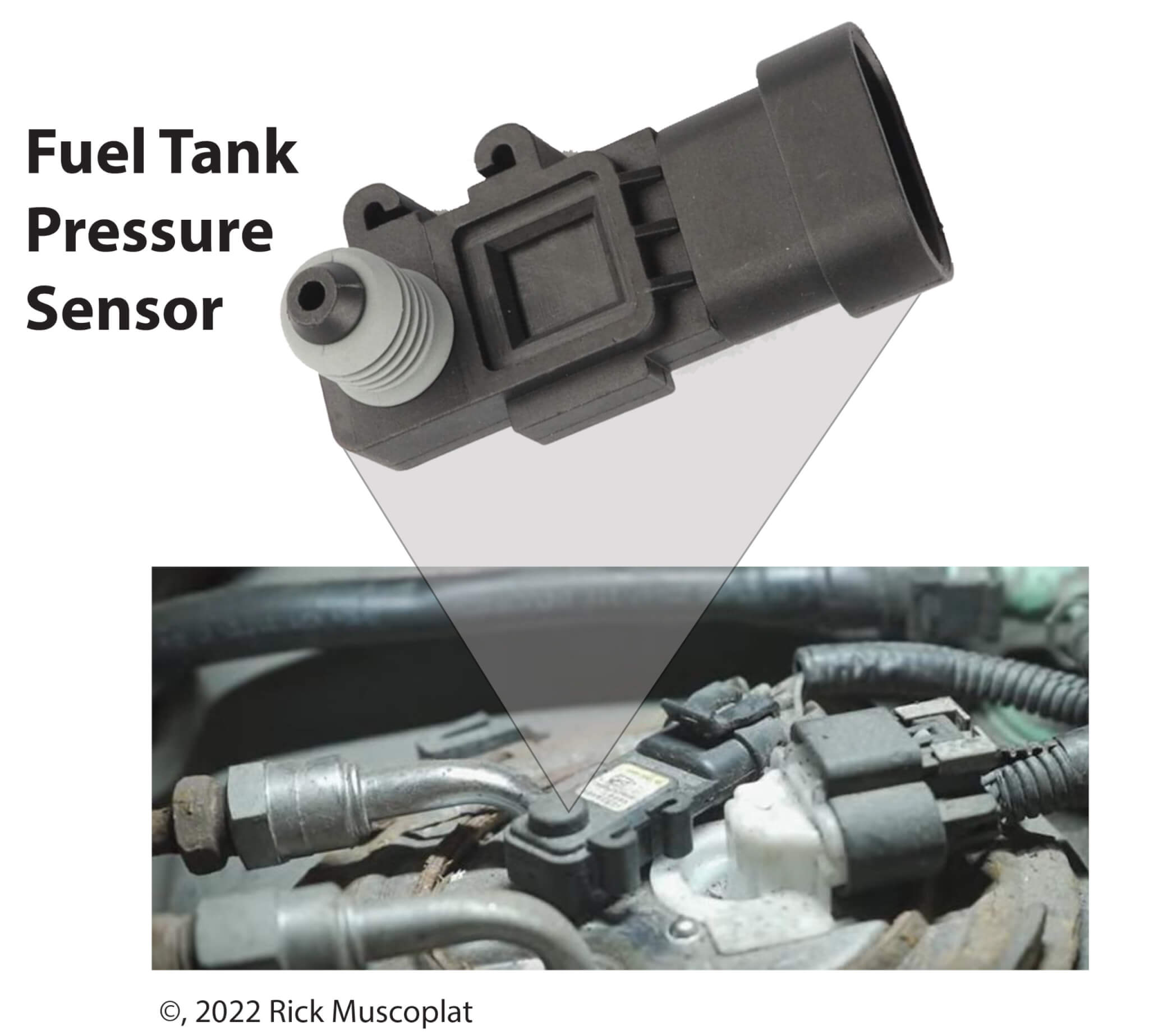 EVAP Vent Solenoid Code P0446 40 OFF Www elevate in EVAP Vent Solenoid Code P0446 40 OFF Www elevate in